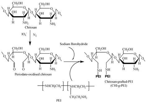 Jfb Free Full Text Polyelectrolyte Multilayers Composed Of Polyethyleneimine Grafted