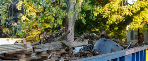 How To Safely Dispose Of Tree Pruning Debris By Hiring The Best