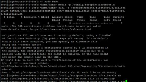 Update Removes Tailscale Edgemax Edgerouter Firmware V209 Hotfix6