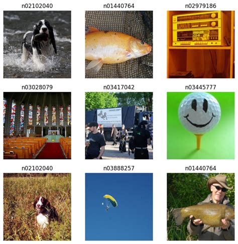 Resnet18 With Fastai On Nvidia Jetson Jetson Examples