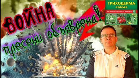 #Микрозелень, #пшеница на #витграсс без плесени. Воспроизводство # ...