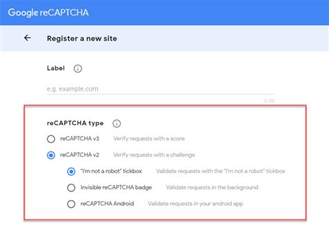 How To Add Google Recaptcha V And V To Your Forms