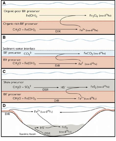 Conceptual Models For How Production And Transport Via Diffusion