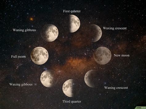 Waxing Moon Definition Science At Christopher Dodd Blog