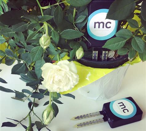 Gallery Wireless IoT Soil Moisture Sensor Using McThings Hackaday Io