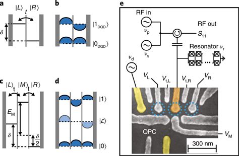 Schematics Of The Qubit Wavefunctions And The Device A Energy Level Download Scientific