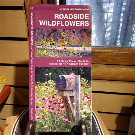 A Pocket Naturalist Guide Roadside Wildflowers Cabots Museum