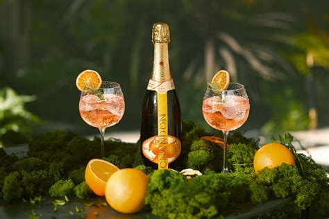 First Sip of Summer With Chandon Garden Spritz - Yachts Croatia