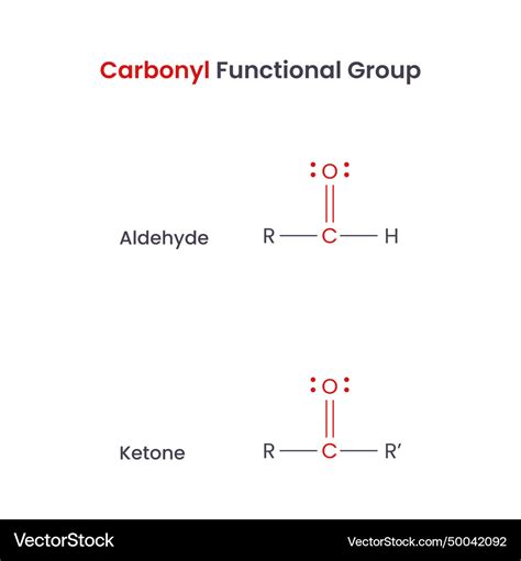 Carbonyl Aldehyde And Ketone Royalty Free Vector Image