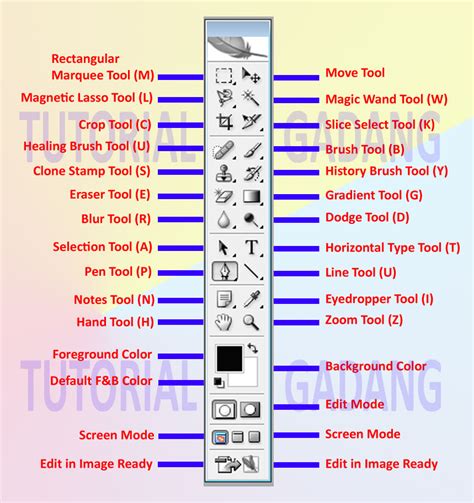 Mengenal Fungsi Menu Toolbox Adobe Photoshop Tutorial Gadang