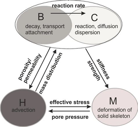 Schematic Illustration Of The Coupled Processes In Micp Download Scientific Diagram