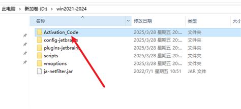 2025年最新idea激活码及永久破解教程 Jetbrains全家桶破解指南 Aipro