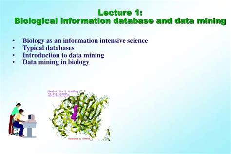 Ppt Lecture 1 Biological Information Database And Data Mining Powerpoint Presentation Id