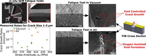 Strain Rate Dependent Viscoelasticity And Fracture 40 Off