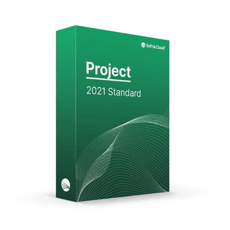 Microsoft Project 2021 Standard Usado