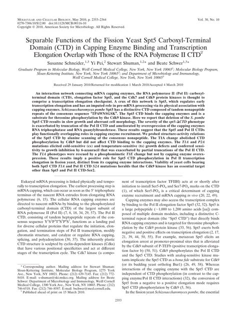 Pdf Separable Functions Of The Fission Yeast Spt5 Carboxyl Terminal Domain Ctd In Capping