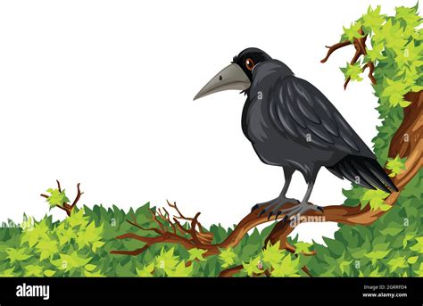 Crow Standing On Branch Stock Vector Image And Art Alamy