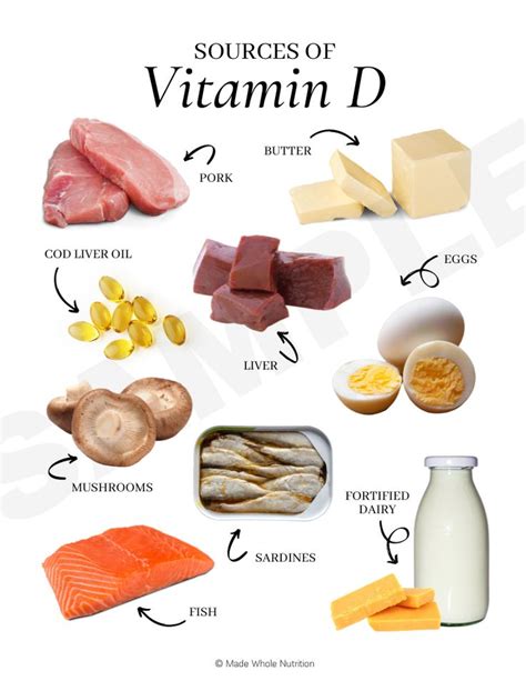 Sources Of Vitamin D Handout — Functional Health Research Resources — Made Whole Nutrition
