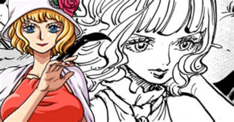 One Piece Wiki Stussy At Paul Jamison Blog