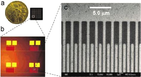 The Structure Of Electrical Mirna Biosensor Array Reported By Fan Et Download Scientific