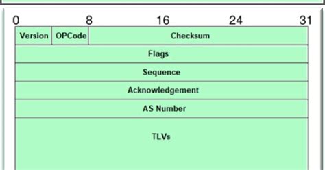 EIGRP Packet Format