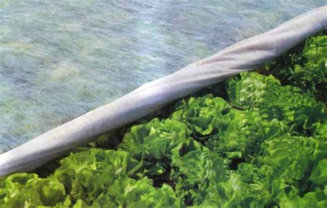 Укрывной материал для растений