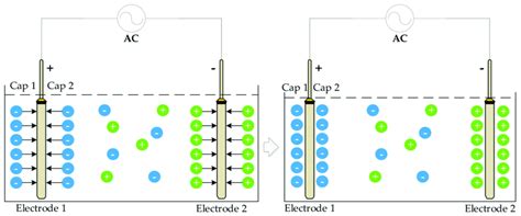 Schematic Diagram Of The Capacitance Effect Download Scientific Diagram