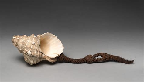Conch Shell Horn Instrument