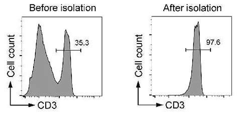 小鼠cd3 T细胞分选试剂盒 Selleck Bioreagents