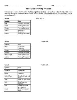 Food Web Drawing Practice Worksheet By Daniel S Science Store TPT