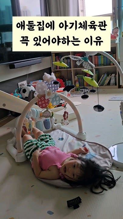 첫째가 더 좋아함ㅋㅋㅋㅋ 차니야 엄마가 꼭 뺏어줄게 리니차니 리니 차니 아기체육관 아기여워 아기여워챌린지 Shorts Youtube