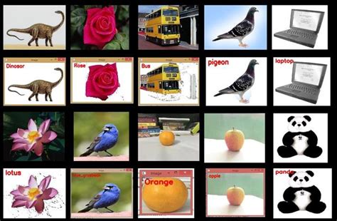 Image Classification Or Mapping Result Of Svm Exploiting Feature And Download Scientific