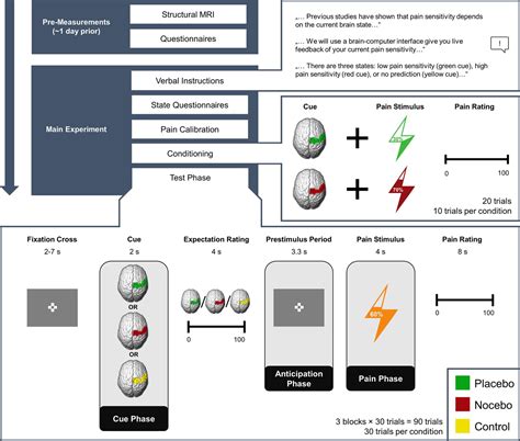The Neural Dynamics Of Positive And Negative Expectations Of Pain ELife