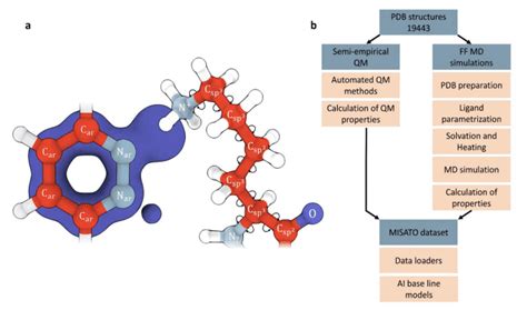 empowering scientists with misato a machine learning dataset for