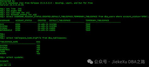 Oracle 23ai Free 版本地化安装指南 墨天轮