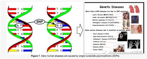 药物虚拟筛选方法 知乎