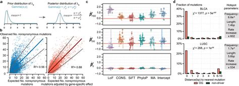 Model Based Analysis Of Positive Selection Significantly Expands The