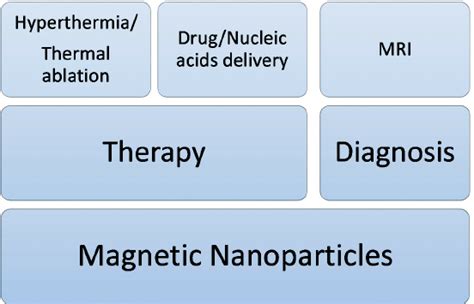 Biomedical Applications Of Magnetic Nanoparticles That Rely On Their