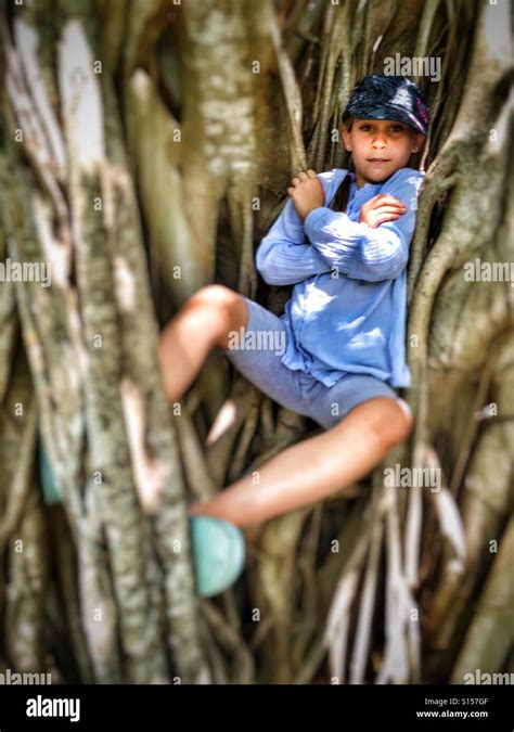 Jeune Fille Assise Dans Un Arbre Banque De Photographies Et Dimages Haute R Solution Alamy