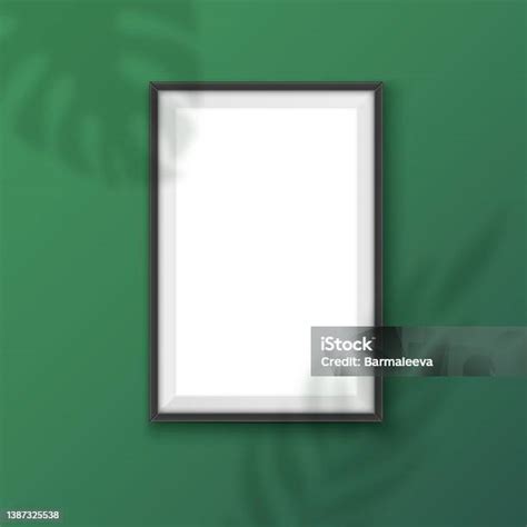 녹색 벽에 미니멀 한 모형 템플릿 잎 그림자가있는 검은 색 사진 프레임 사진 프레젠테이션을 위한 템플릿입니다 빈 보드 사진 프레임 A4 용지에 대한 스톡 벡터 아트 및 기타