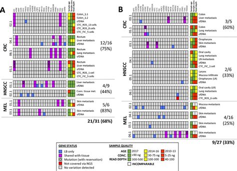 Comparative Analysis Of Cfdna Mutations And Their Concordance With Download Scientific Diagram