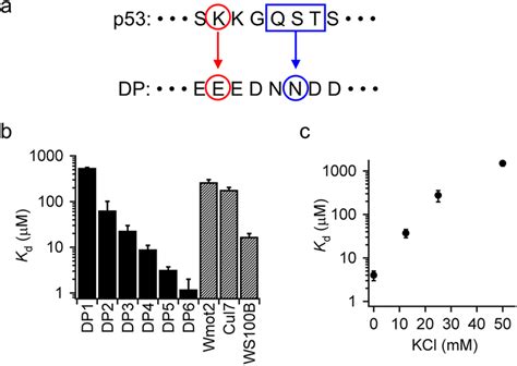 Binding Of Designed Peptides To The Monomeric Ct Domain Of P53 A Download Scientific Diagram