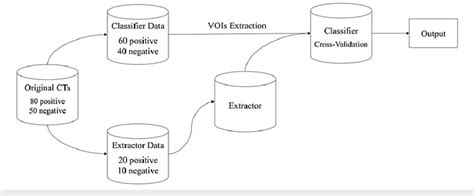 Data Flow And Sampling In The Model Development Process Download Scientific Diagram
