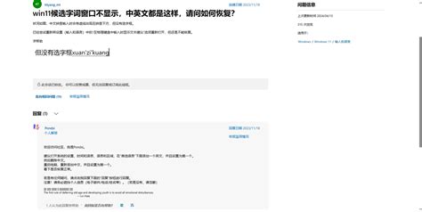 微软输入法输入中文时不显示候选框的终极解决方法 哔哩哔哩
