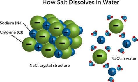 Salt Dissolving In Water