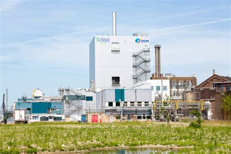 110개 이상의 Dsm 스톡 사진 그림 및 Royalty Free 이미지 Istock