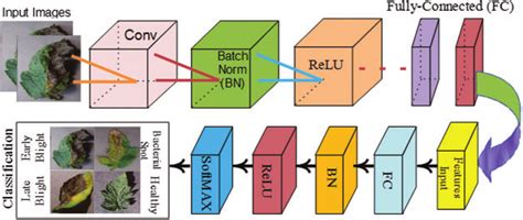 Classification Of Different Types Of Plant Diseases Using Convolutional Download Scientific