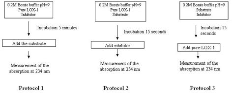 Schematic Representation Of Experimental Protocols 123 Download