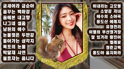 트로트 메들리 흘러간 노래로 즐기는 우리들의 청춘 디스코 Youtube