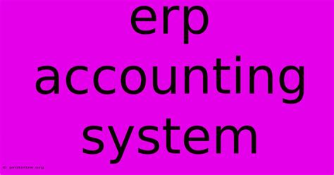 Erp Accounting System